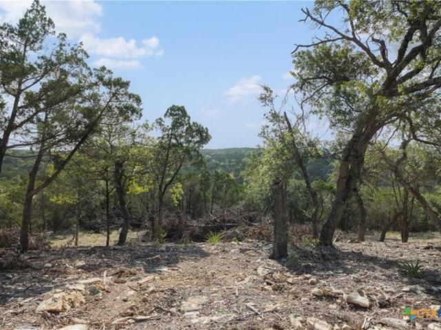 Tract 4 Mount Olive School Rd Lot 4, Wimberley, TX 78676
