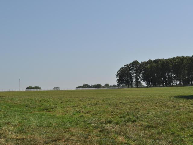 Tract 4 N Farm Road 175