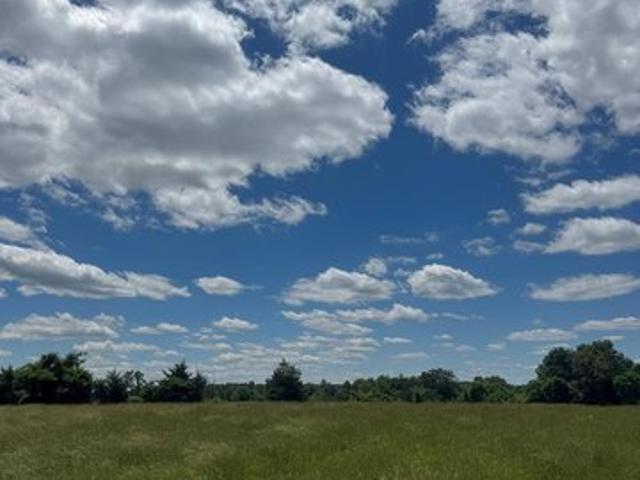 Tract 4 Old Kentucky Rd Lot 4, Albany, KY 42602