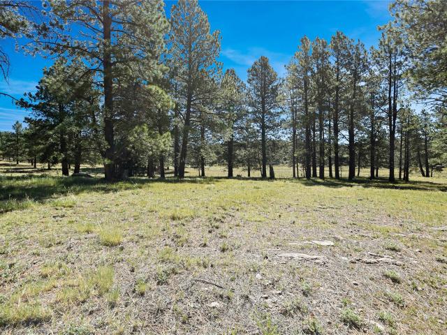Tract 4 & A Wetherill Cabin Sites