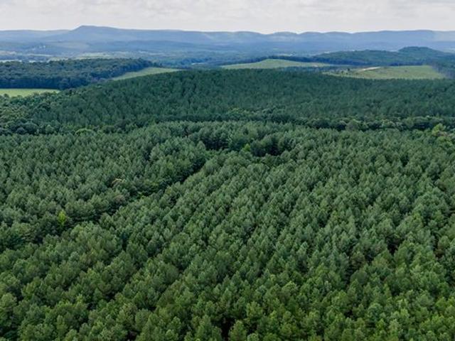 Tract 4 Back Valley Rd, Lyerly, GA 30730