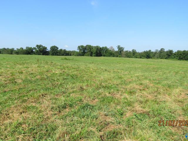 Tract 4 Brown Road