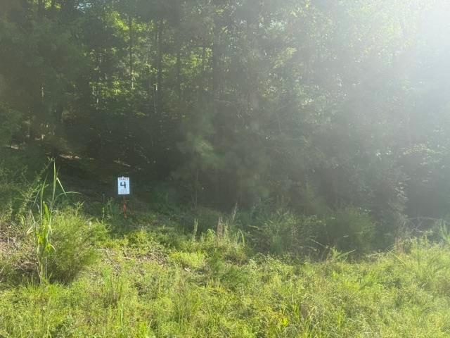 Tract 4 carroll hollow rd