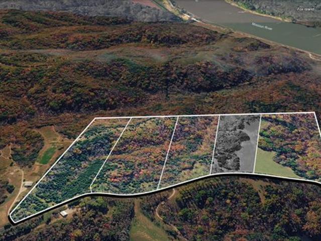 Tract 4 E Cedar Tree Ln, Hartsburg, MO 65039