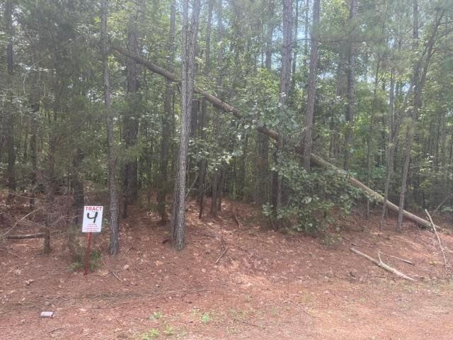 Tract 4 hardin graveyard rd