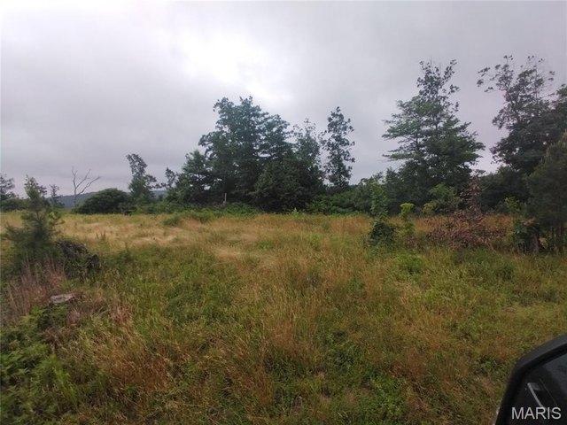 Tract 4 Highway O, Belleview, MO 63623