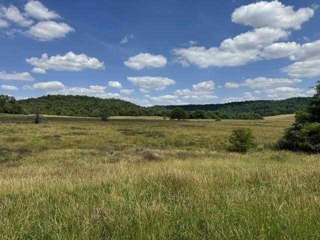 Tract 4 L and N Turnpike Rd, Horse Cave, KY 42749
