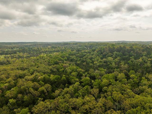 Tract 4 Little Woods Road