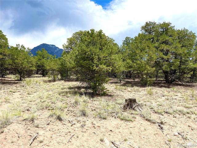 Tract 4 philleo Annex, Crestone, CO 81131 | MLS #4741