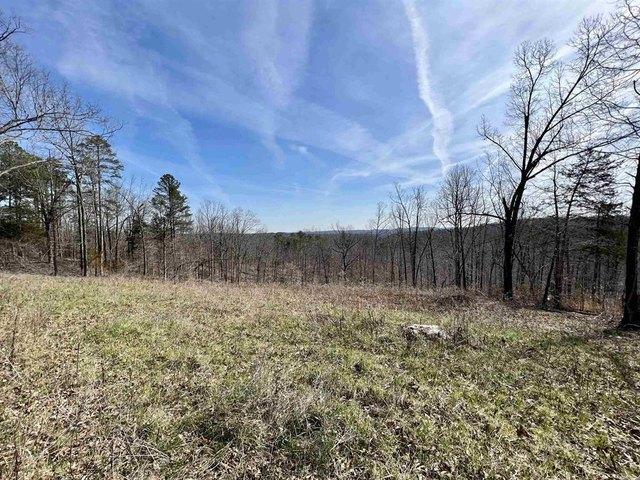 Tract 4 Ramblewood Trl, Yellville, AR 72687