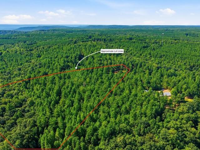 Tract 4 S Pittsburg Mountain Rd, South Pittsburg, TN 37380