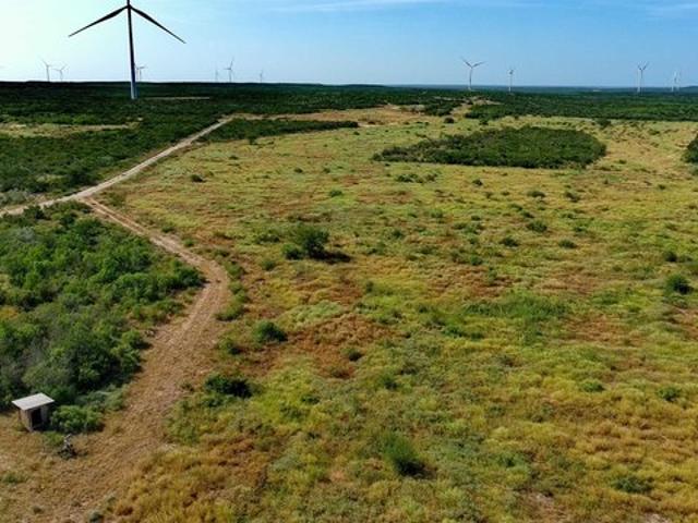 Tract 4 San Pablo Ave, Bruni, TX 78344