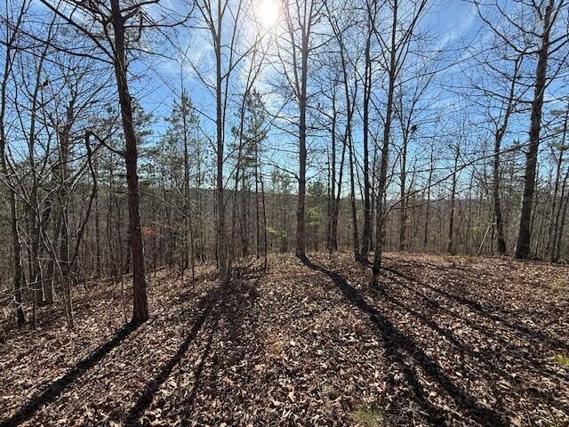 Tract 4 South Pittsburg Mountain