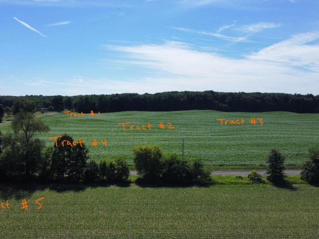 Tract #4 South Tract Avenue, Schoolcraft, MI 49087 | MLS #24052 | Compass