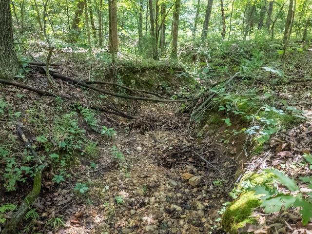 Tract 4 Upper Janes Creek Road