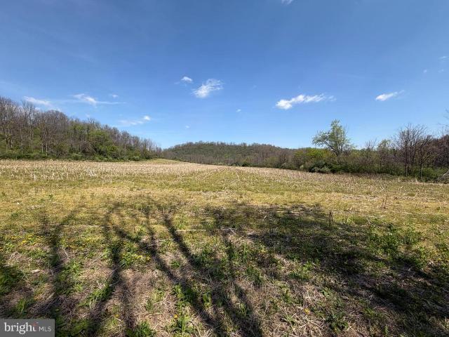 Tract 4: 39.99+/ ACRES Union Furnace Rd
