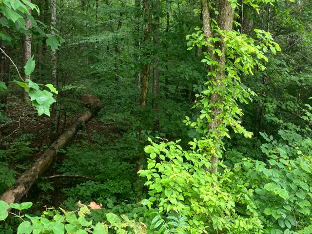 Tract 4 3 Point Rd