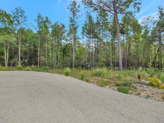 Tract 53 Ranches at Buckhorn Creek