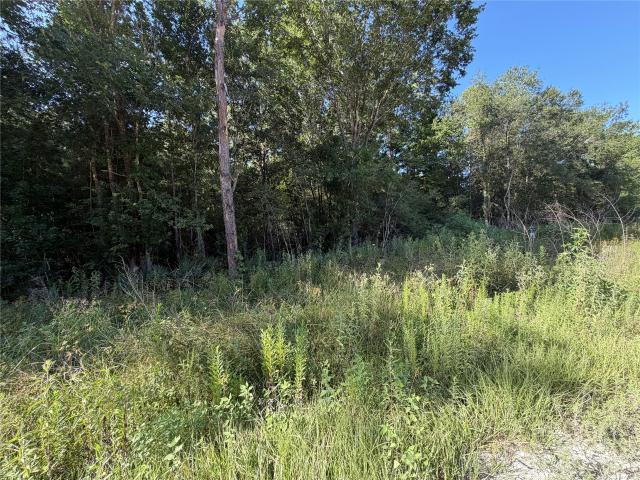 Tract 51 Black Cat Road
