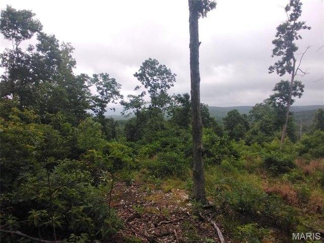 Tract 5 off Highway O, Belleview, MO 63623
