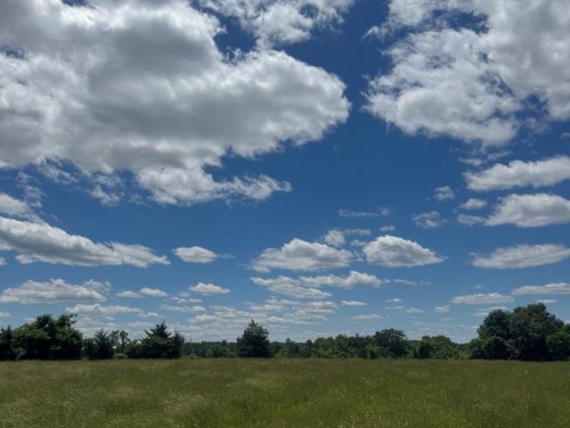 Tract 5 Old Kentucky Road, Hwy 528