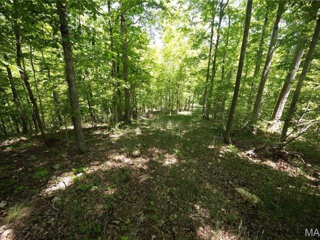 Tract 5 Bcr # 930, Patton, MO 63662