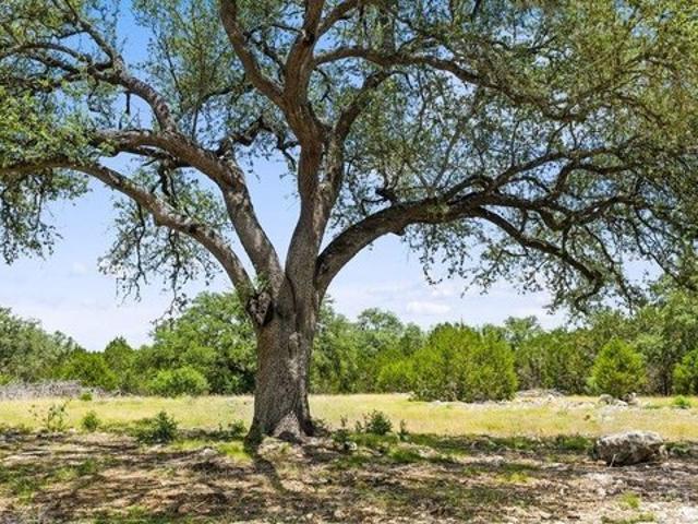 Tract 5 Cypress Cove Rd, Spring Branch, TX 78070