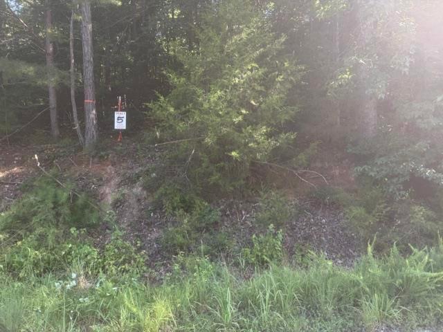 Tract 5 carroll hollow rd