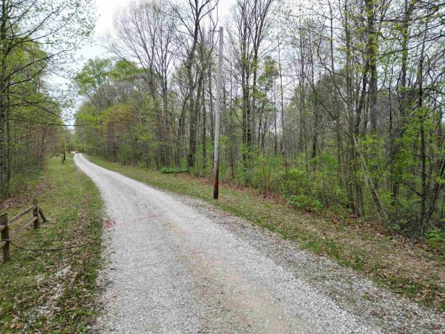 Tract 5 E Pine Road Common