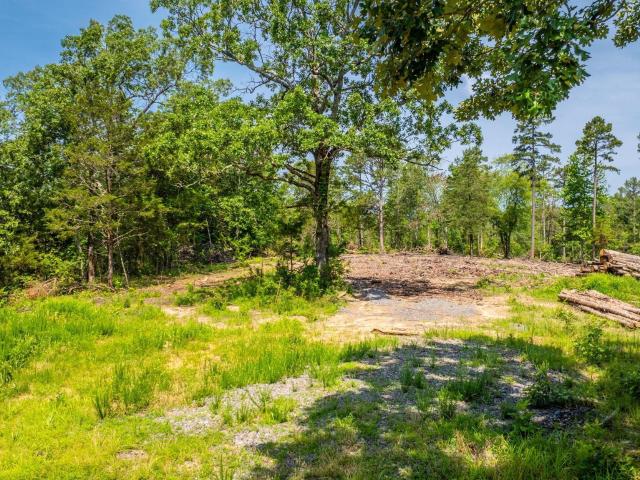 Tract 5 Harmony Mountain Road