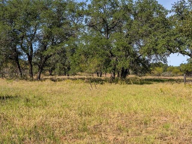 Tract 5 Highway 87, Mason, TX 76856
