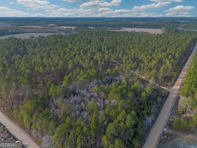 Tract 5 Reddish Rd, Odum, GA 31555
