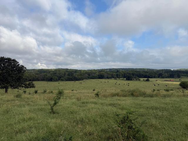 Tract 5 S Farm Road 55