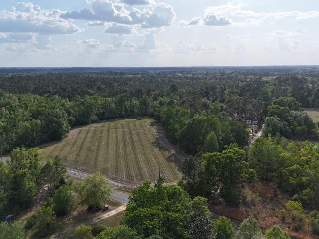 TRACT 5 Spring Branch Road