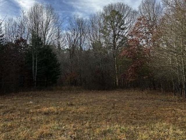 Tract 5 Tbd Southside Rd, Oden, AR 71961