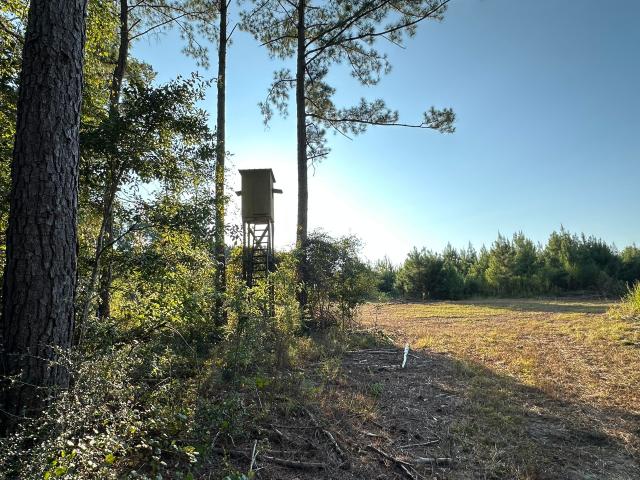 Tract#6201 Doyle Morgan Rd, DeFuniak Springs, FL 32433 | MLS #983574
