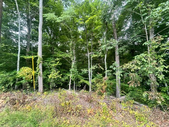 Tract 68 70 CD Dogwood Drive