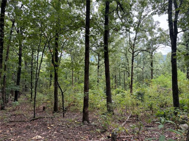 Tract 6 NC 6832