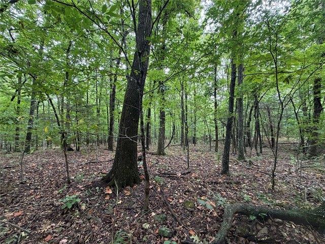 Tract 6 Nc 6832, Jasper, AR 72641