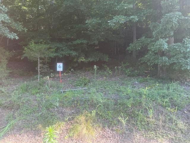 Tract 6 carroll hollow rd