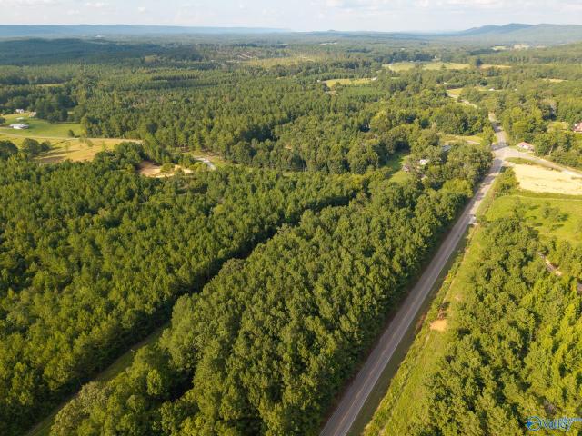 Tract 6 County Road 41