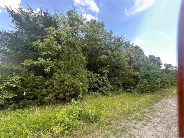 Tract 6 Golden Meadows Drive