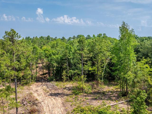 Tract 6 Harmony Mountain Road
