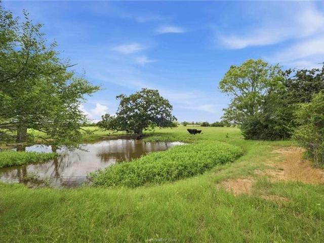 Tract 6 Holly Cemetery Rd, Franklin, TX 77856
