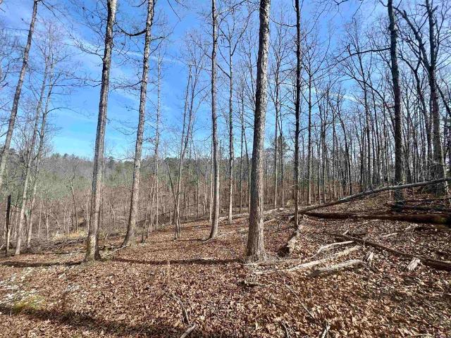 Tract 6 Ramblewood Trail