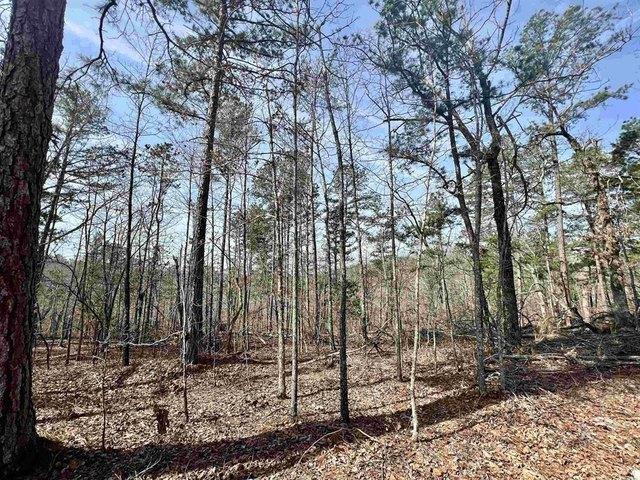 Tract 6 Ramblewood Trl, Yellville, AR 72687