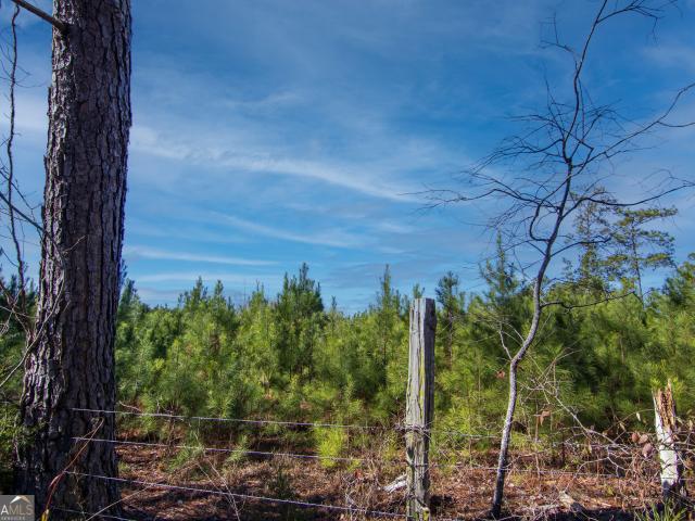 Tract 6 0 chestnut grove road