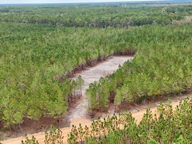 Tract 7 and 8 Penny Morris Rd, Baxley, GA 31513