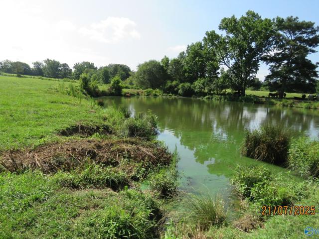 Tract 7 Brown Road