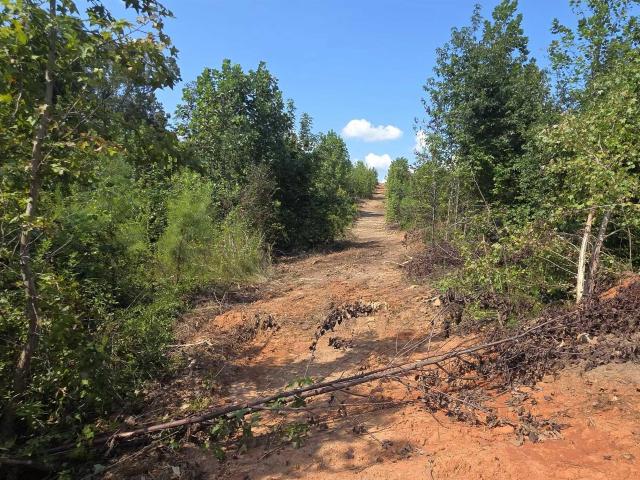 Tract 7 county road 256 # 7